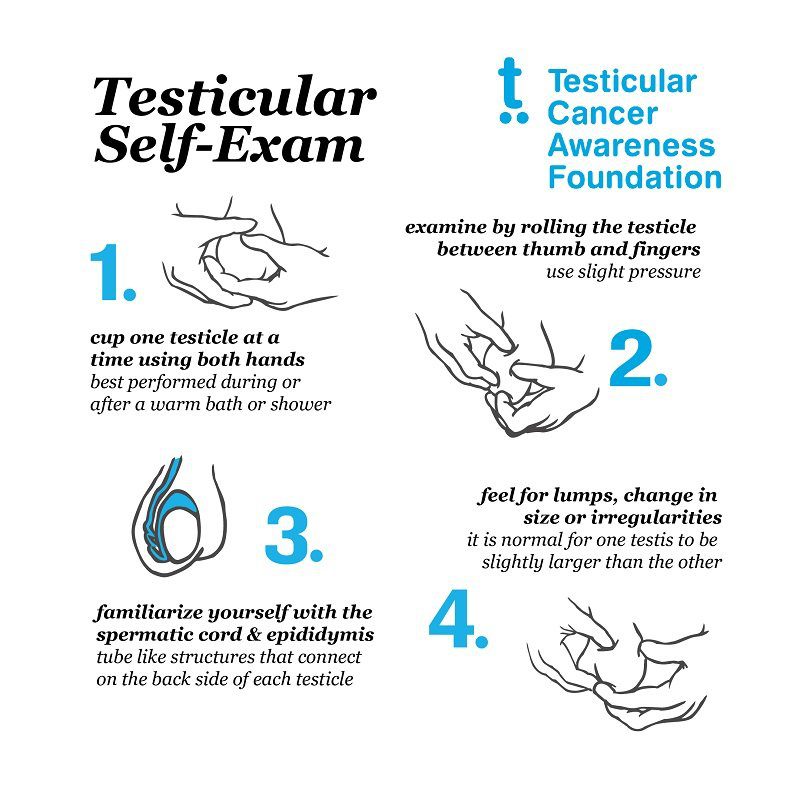 April Is Testicular Cancer Awareness Month Community Health Of